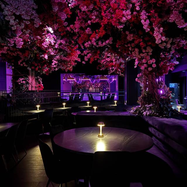 Docks Off 5th Restaurant - New York, NY | OpenTable