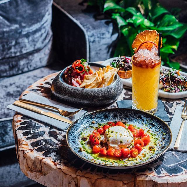 V Modern Italian Restaurant - Nashville, TN | OpenTable