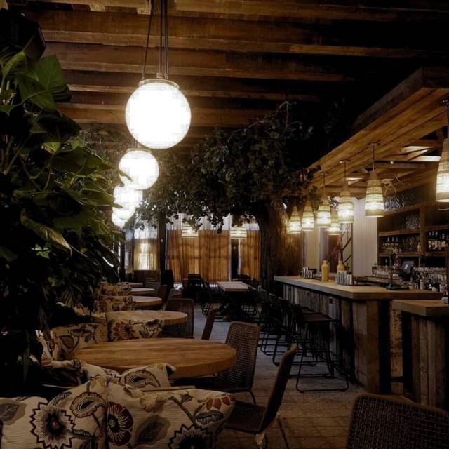 Ketchy Shuby Restaurant - New York, NY | OpenTable