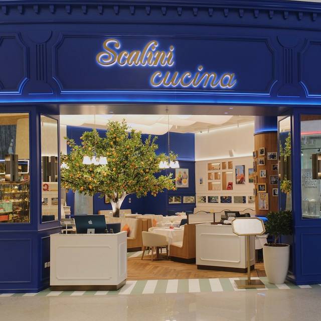 Scalini Cucina Dubai Mall - Updated 2026, Italian Restaurant in Dubai