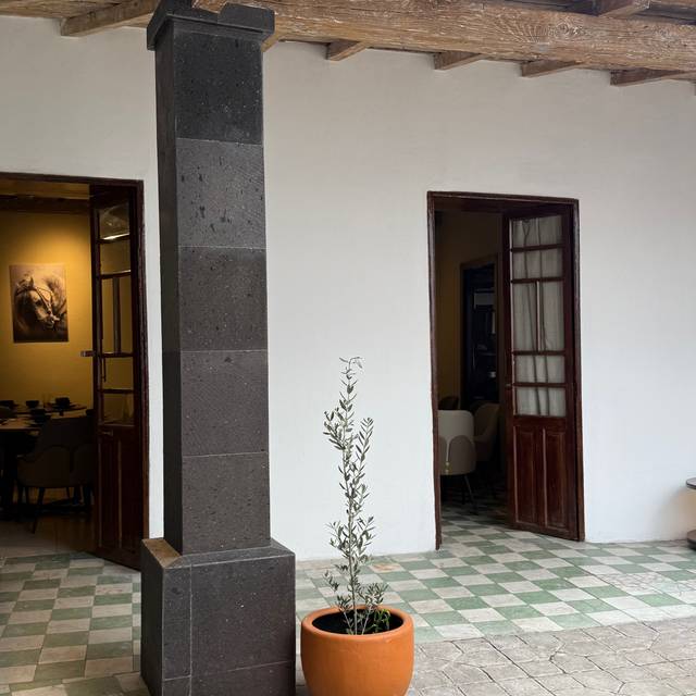 Mola Mola - Updated 2026, Contemporary Mexican Restaurant in Toluca, MEX