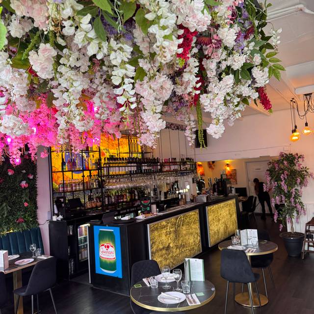 Lost in Rio Restaurant - Plymouth, Plymouth | OpenTable