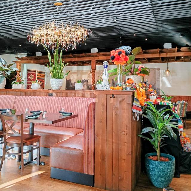 TEXANO Cocina Restaurant - Dallas, TX | OpenTable