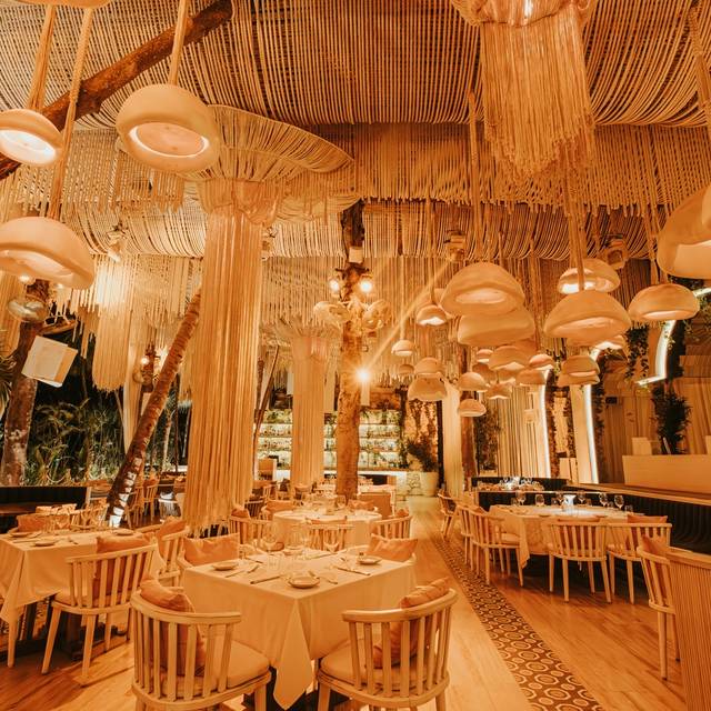 Restaurante Bagatelle Tulum - Tulum, , ROO | OpenTable