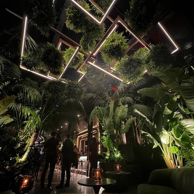 Restaurante Sago - Encinitas, , CA | OpenTable