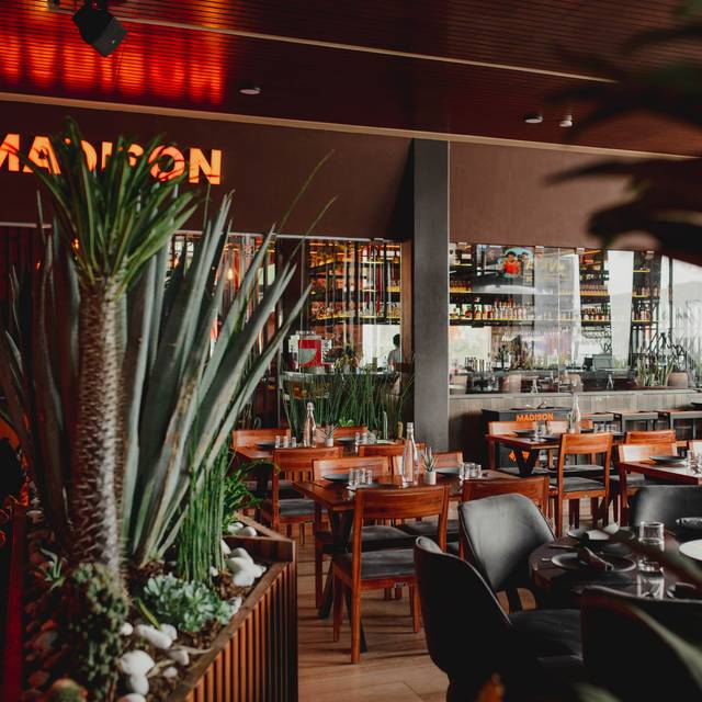 Restaurante Madison Grill Xalapa - Xalapa, VER | OpenTable