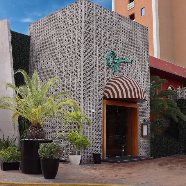 Restaurante Cayenna - Culiacán Rosales, SIN | OpenTable