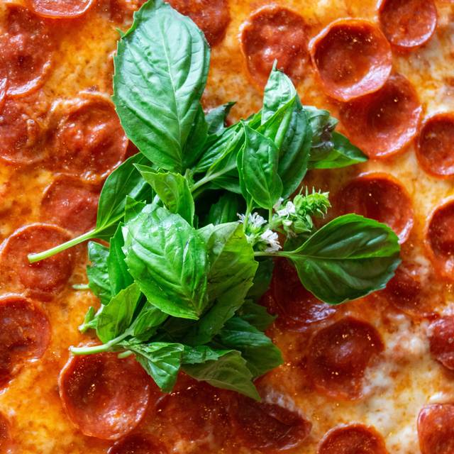 Camille's - Updated 2026, Italian Restaurant in Oakland Park, FL