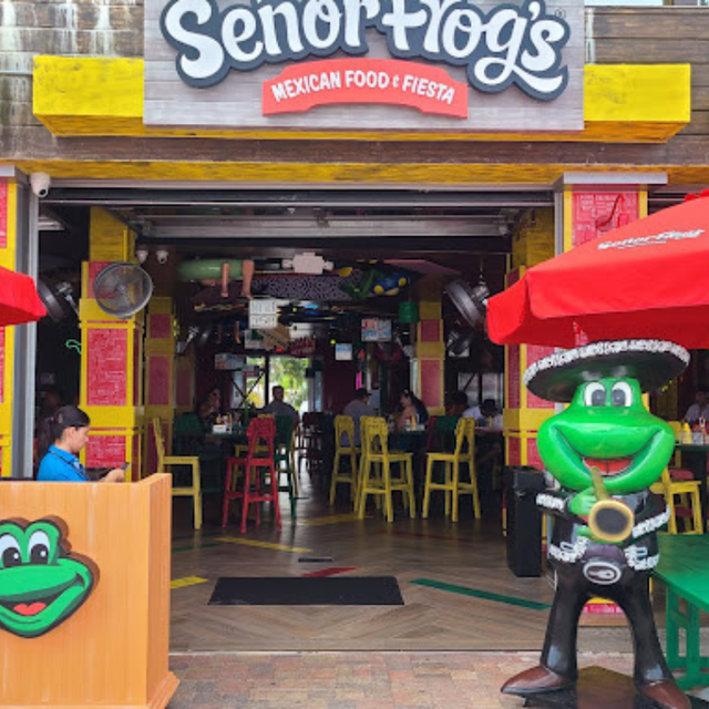 Señor Frog's Hollywood Beach Restaurant - Hollywood, FL | OpenTable