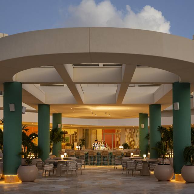 ZIMA Rooftop Bar Restaurant - Eagle Beach, Oranjestad | OpenTable