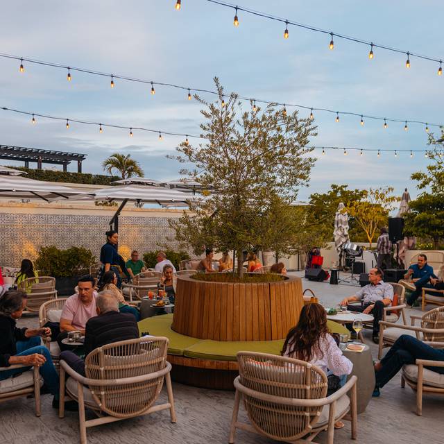 Ivy Rooftop - Coral Gables, FL | OpenTable