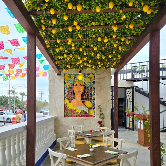 Limonetto - Updated 2025, Italian Restaurant in San José del Cabo, BCS