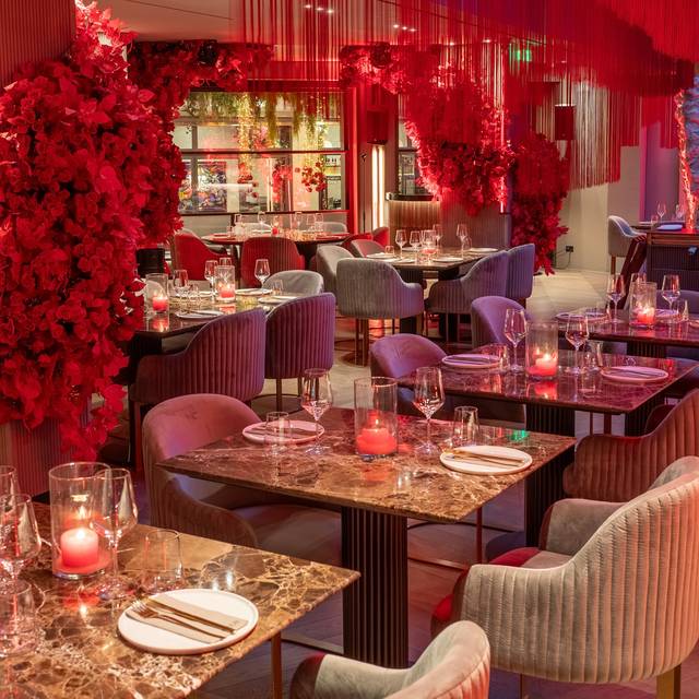 Geco Athens Restaurant - Athina, Greece | OpenTable