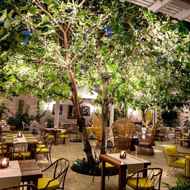 Almond Tree Restaurant - Long Bay Hils, Turks & Caicos | OpenTable