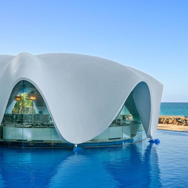 Levant San Juan Restaurant - San Juan, PR | OpenTable