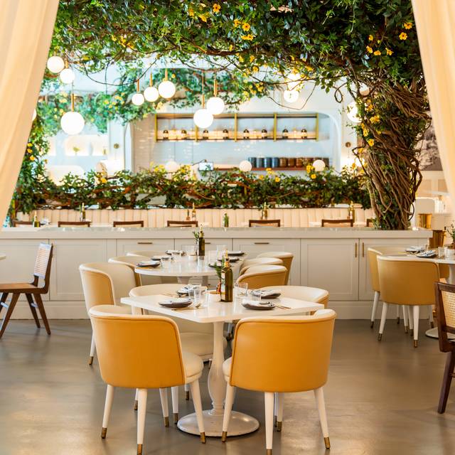 Motek Boca Raton Restaurant - Boca Raton, FL | OpenTable