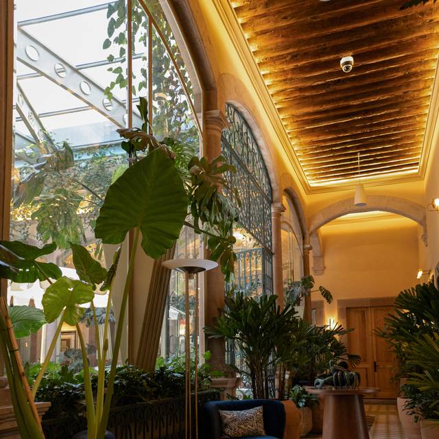 Restaurante CASA H - San Luis Potosí, SLP | OpenTable