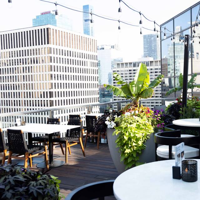 The 101 Rooftop Restaurant - Chicago, IL | OpenTable