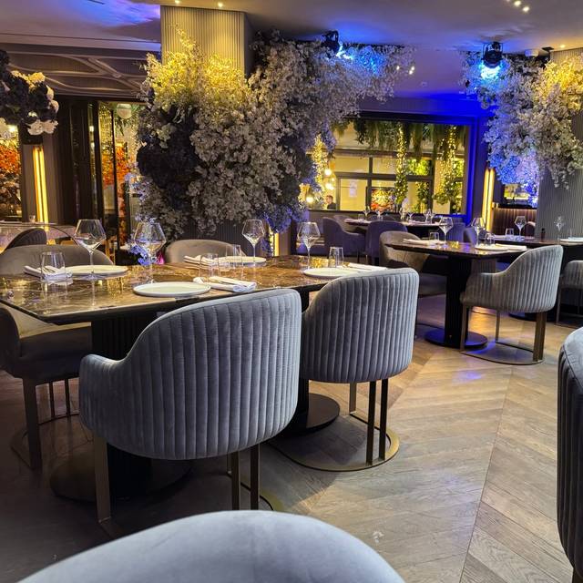 Geco Athens Restaurant - Athina, Greece | OpenTable