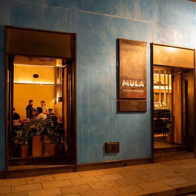 Mula Cocina Mestiza Restaurant - Oaxaca de Juárez, OAX | OpenTable