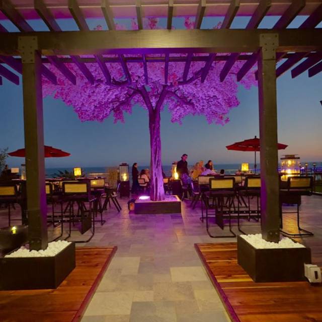 Sake House Malibu Restaurant - Malibu, CA | OpenTable