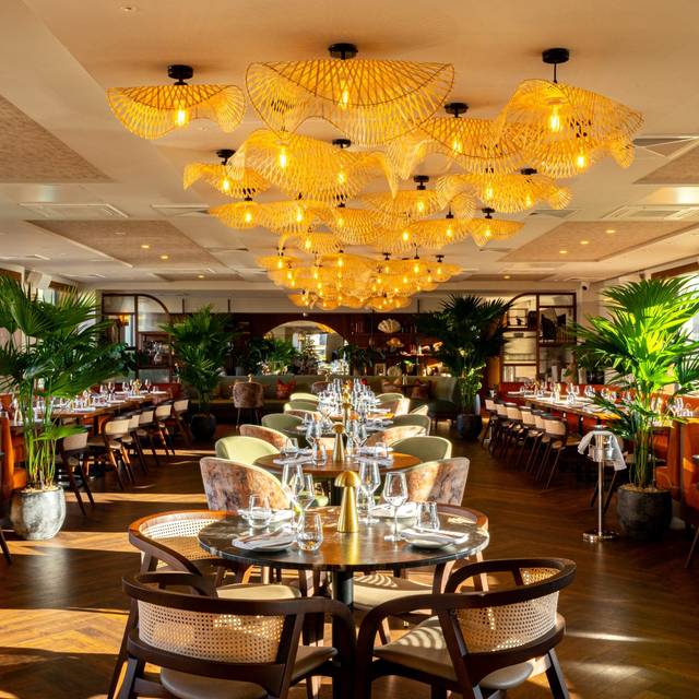 Kitty Hawk Restaurant - London, Greater London | OpenTable