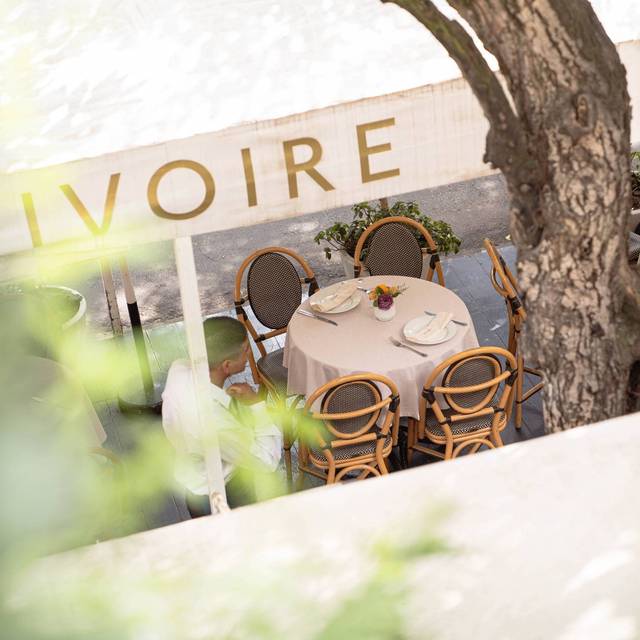 Ivoire Restaurant - México, CDMX | OpenTable