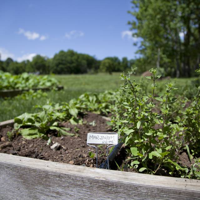 Ninety Acres Restaurant - Peapack, NJ | OpenTable