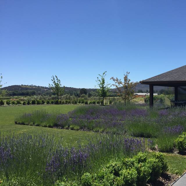 Pialligo Estate Garden Pavilion - Pialligo, AU-ACT | OpenTable