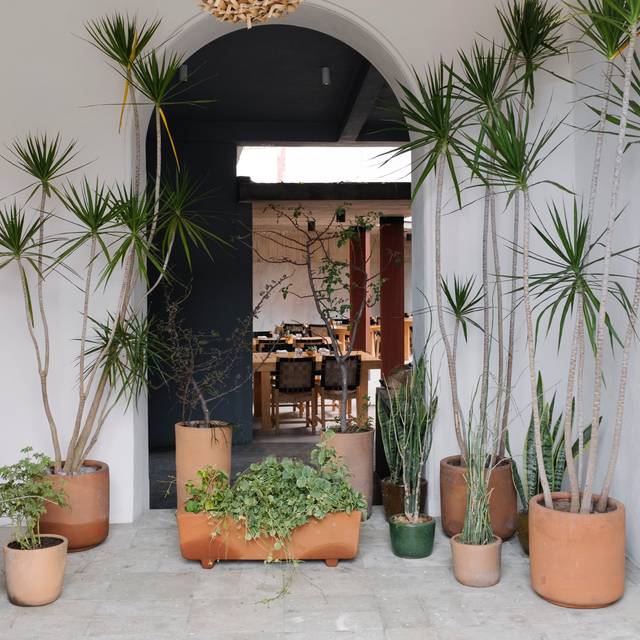 Criollo Restaurant - Oaxaca, OAX | OpenTable