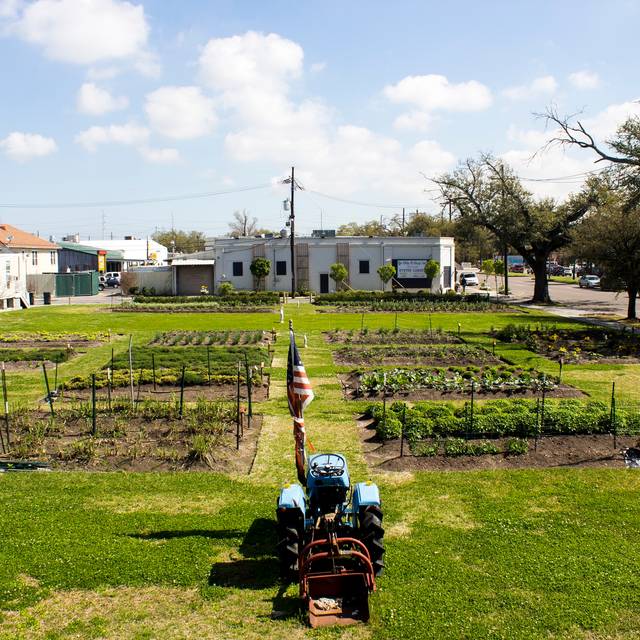 Ye Olde College Inn Restaurant - New Orleans, LA | OpenTable