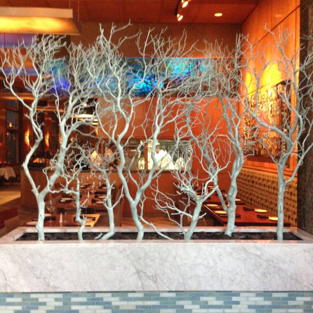 Catch 35 - Chicago Restaurant - Chicago, IL | OpenTable