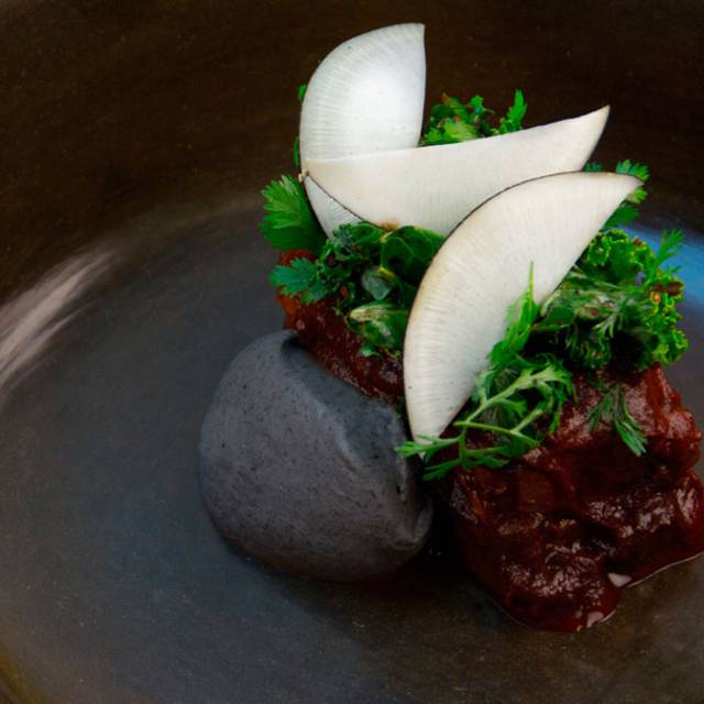 Xoconostle Restaurant - Aguascalientes, AGU | OpenTable