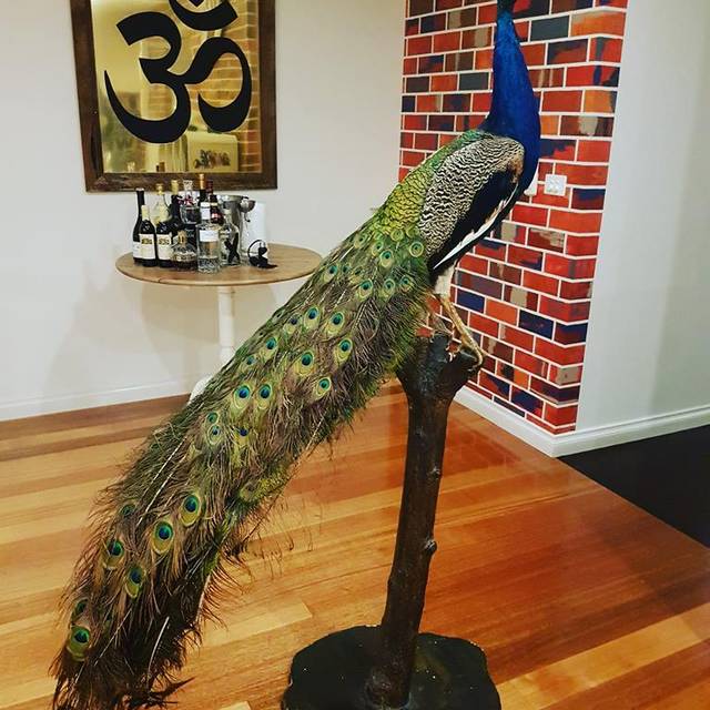 The Peacock Den - The Basin, AU-VIC | OpenTable