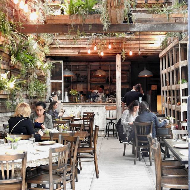 Bonetta Restaurante - Ciudad de México, CDMX | OpenTable