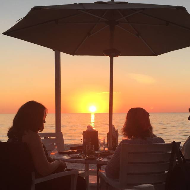 The Turtle Club - Naples Restaurant - Naples, FL | OpenTable