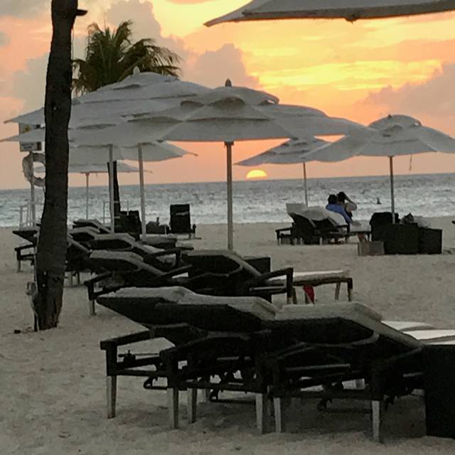 Elements Restaurant at Bucuti & Tara Beach Resort - Adults Only - Eagle ...