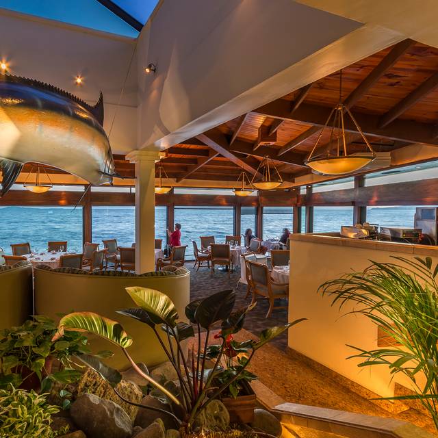 Punta Morro Restaurante - Ensenada, BCN | OpenTable
