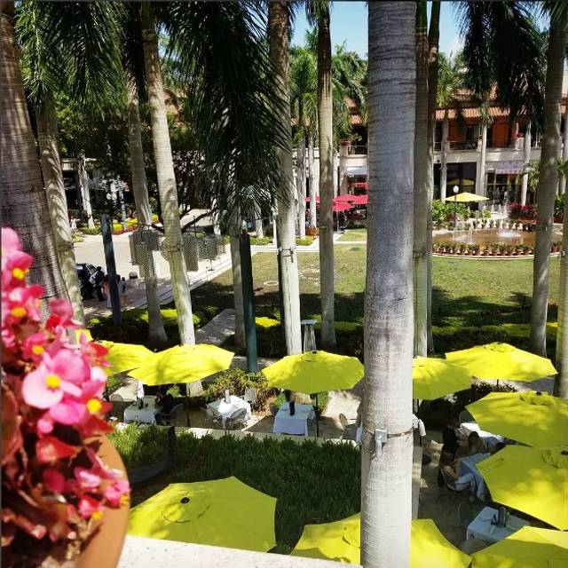 Sawa Restaurant - Coral Gables, FL | OpenTable