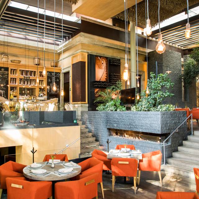 Nueve Nueve Bistro Mexicano Restaurant - México, CDMX | OpenTable