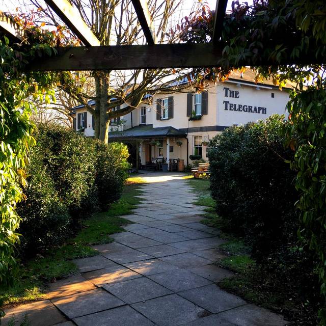 The Telegraph - Putney Heath - London, | OpenTable