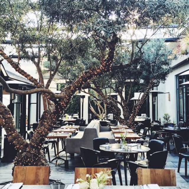 Ysabel Restaurant - West Hollywood, CA | OpenTable