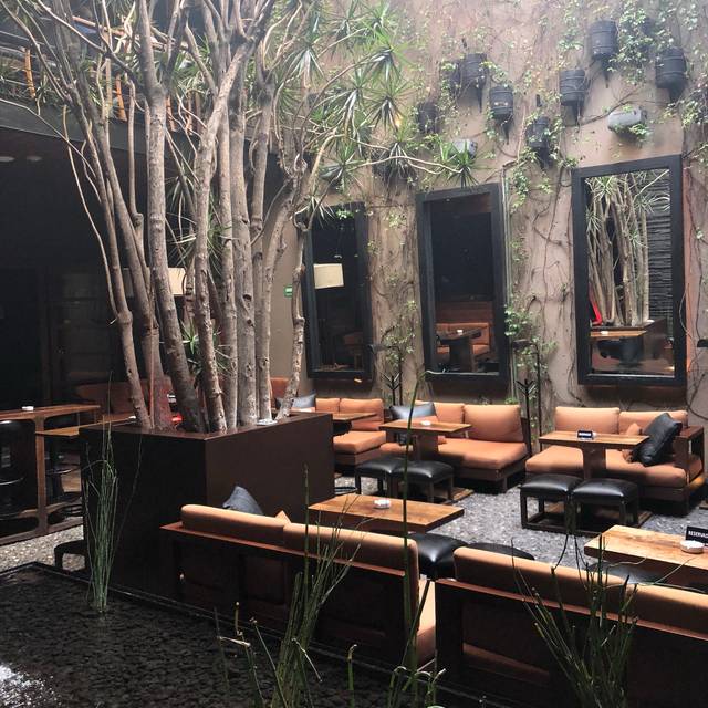 Sud 777 Restaurant - Mexico City, CDMX | OpenTable