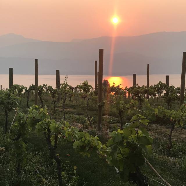 BLOCK ONE Restaurant at 50th Parallel Winery - Lake Country, BC | OpenTable