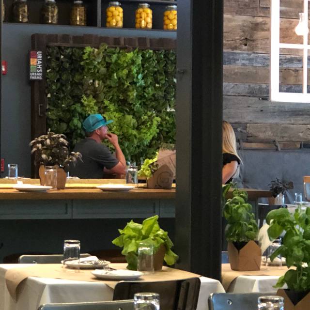 Boca- Sarasota Restaurant - Sarasota, FL | OpenTable
