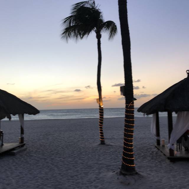 Elements Restaurant at Bucuti & Tara Beach Resort - Adults Only - Eagle ...