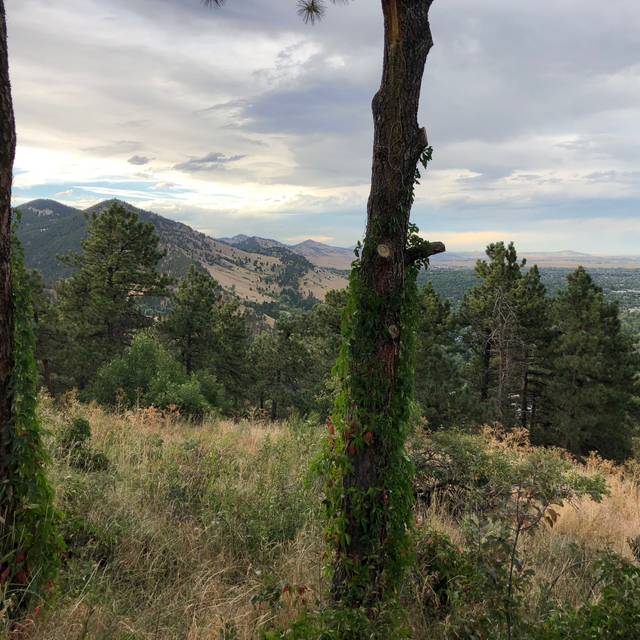 Flagstaff House Restaurant - Boulder, CO | OpenTable