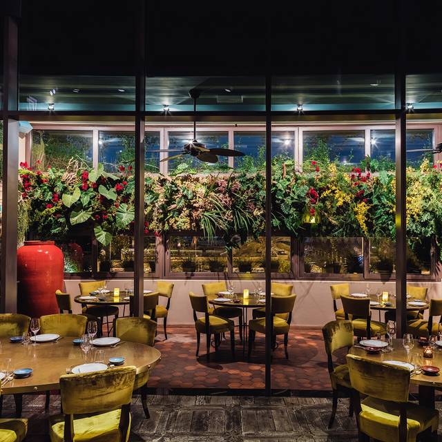 COYA Dubai Restaurant - Dubai, Dubai | OpenTable