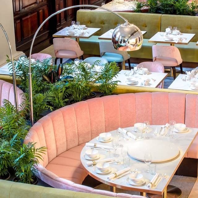 Donna Chang - Brisbane, AU-QLD | OpenTable