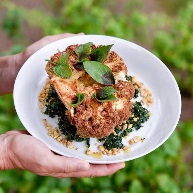 Ocotillo Restaurant - Phoenix, AZ | OpenTable